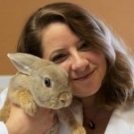 Dr. Kanfer's Korner - Rabbit Savior
