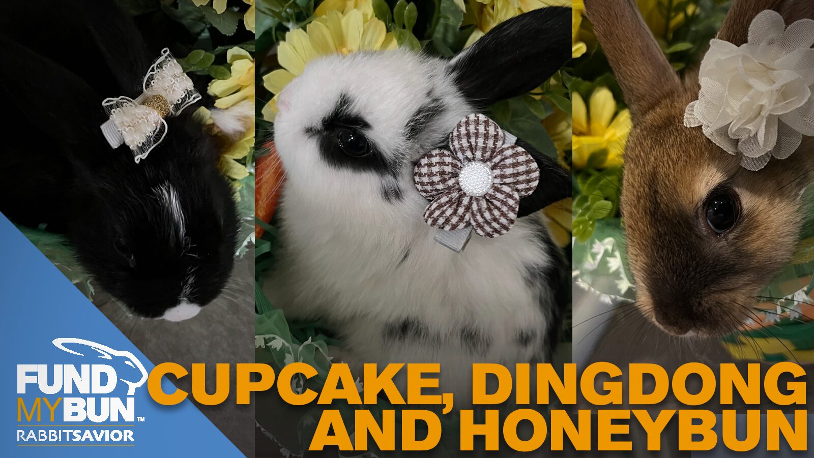 FMB Lisle 02192024 - Rabbit Savior